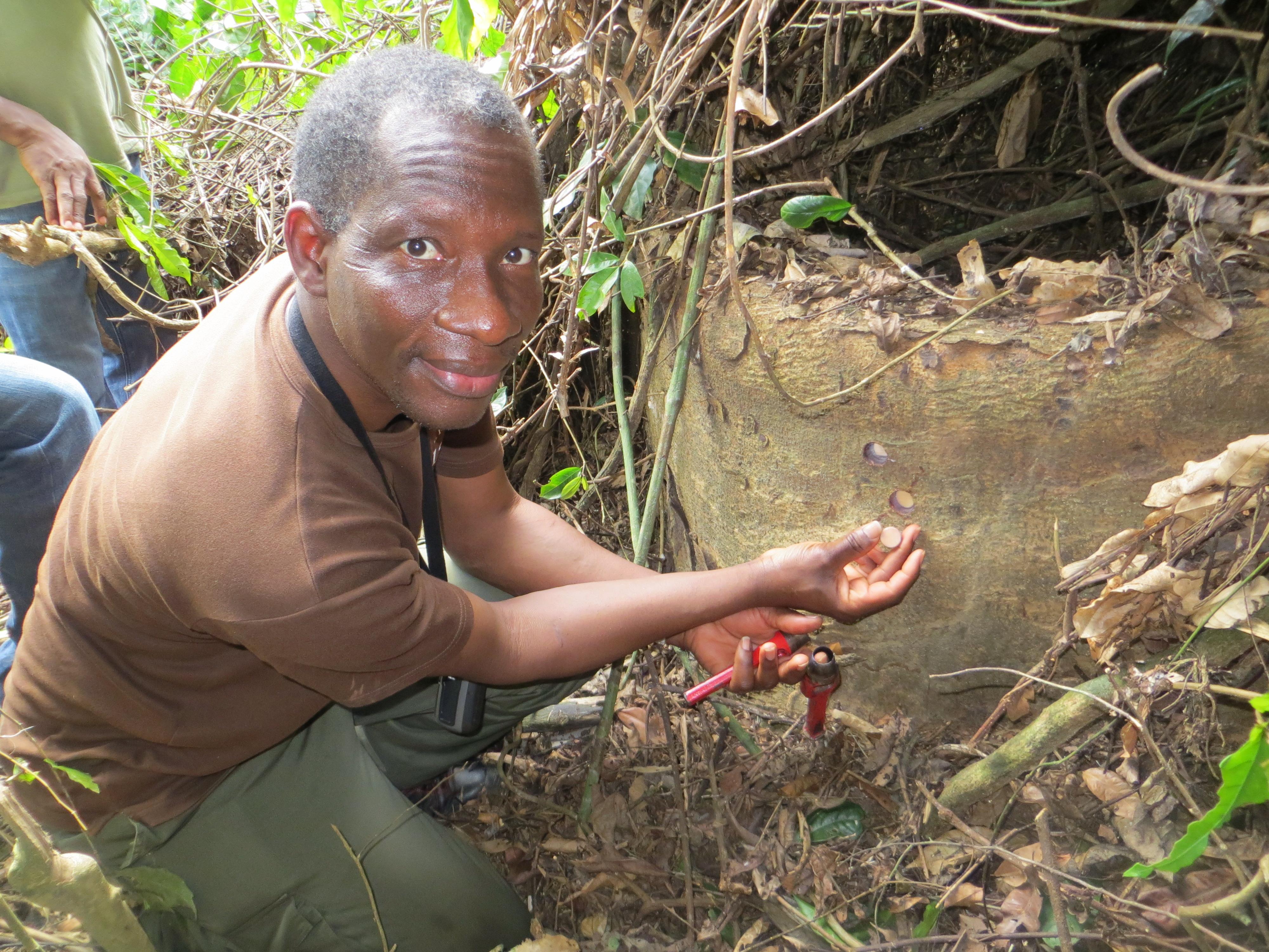 Photo exhibition | ITTO | The International Tropical Timber Organization