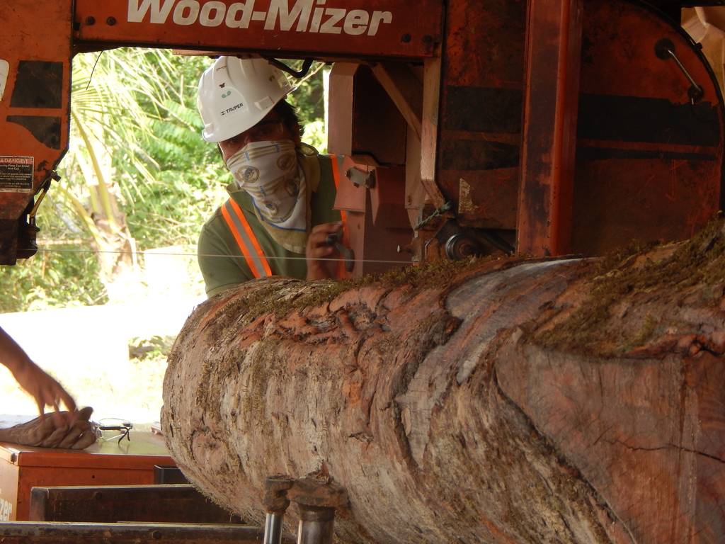 Photo exhibition | ITTO | The International Tropical Timber Organization