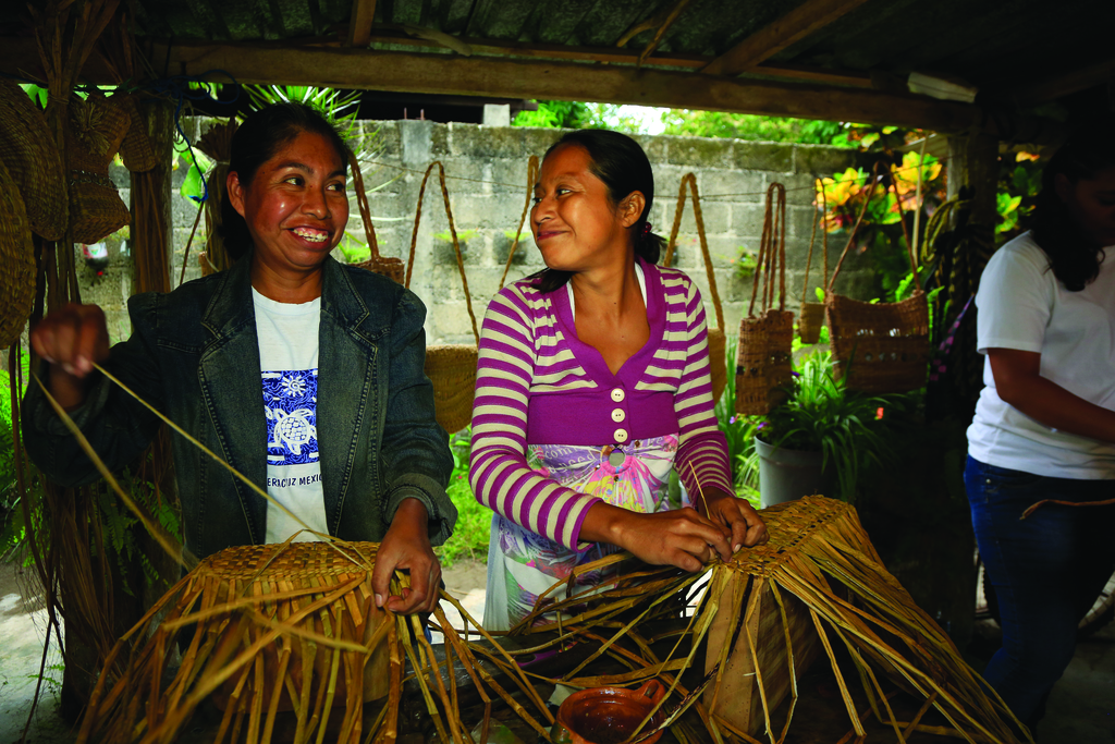 Photo exhibition | ITTO | The International Tropical Timber Organization