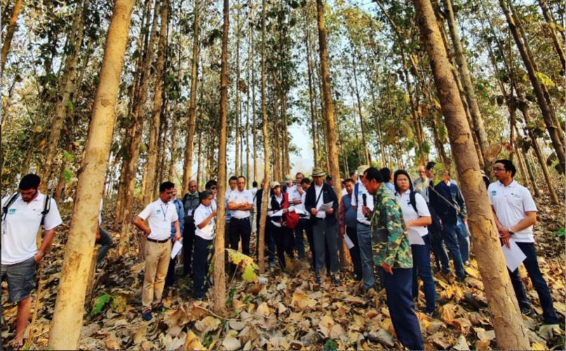 Side-event hosted by ITTO and Teaknet examines challenges and ...